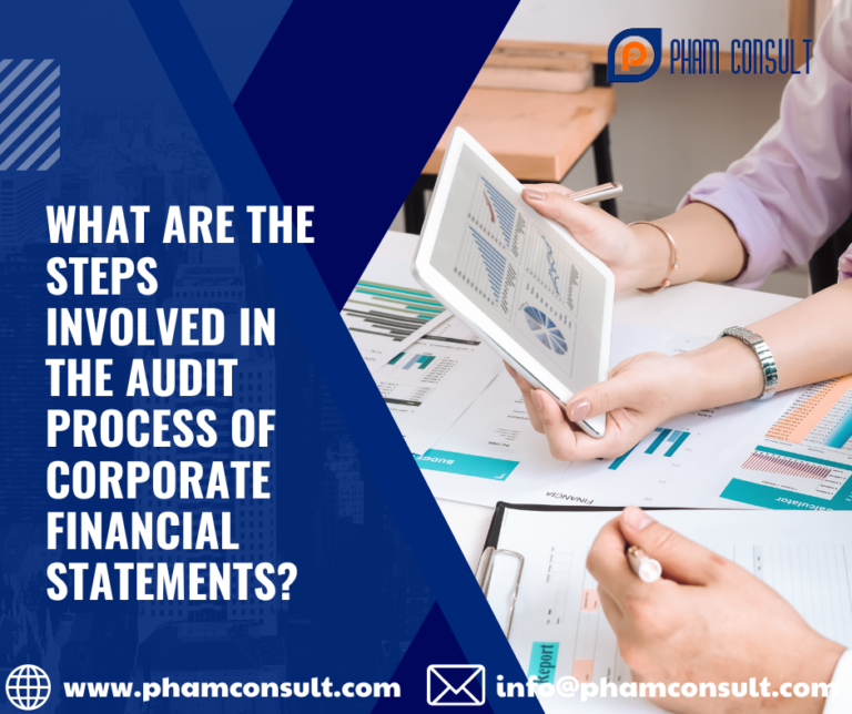WHAT ARE THE STEPS INVOLVED IN THE AUDIT PROCESS OF CORPORATE FINANCIAL ...