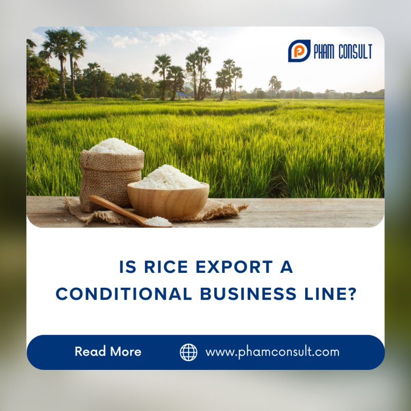 IS RICE EXPORT A CONDITIONAL BUSINESS LINE? | Pham Consult Việt Nam